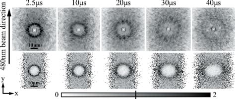 Pair Correlation Images From Experiment Top Row And Simulation Download Scientific Diagram