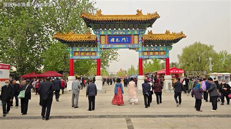 菏泽牡丹甲天下，天下牡丹出菏泽！春游曹州牡丹园 搜狐大视野 搜狐新闻