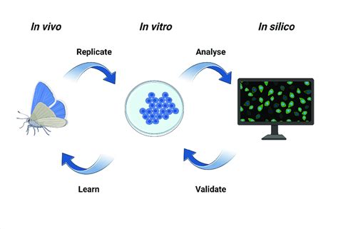 How Bioinformatics Contributes To Biology Figure Made With Biorender