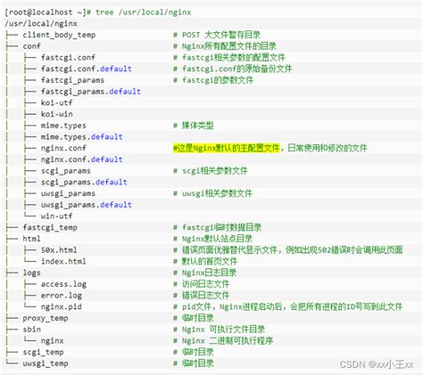 Nginx学习总结 Csdn博客