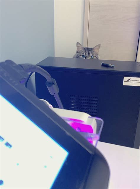 カシバジョイネット On Twitter 作業中ずっとこれ