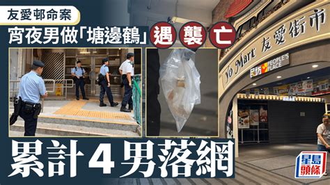 友愛邨謀殺案｜宵夜男見人打架做「塘邊鶴」遇襲 警再拘兩男累計4人落網