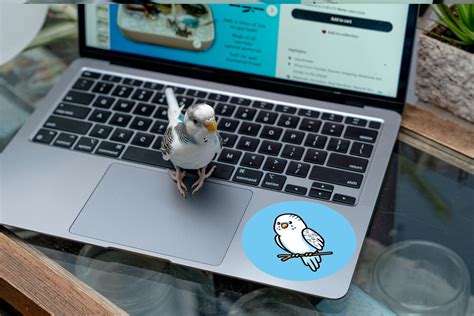 Cute Round Bird Sticker Budgie Sticker Bird Sticker Etsy