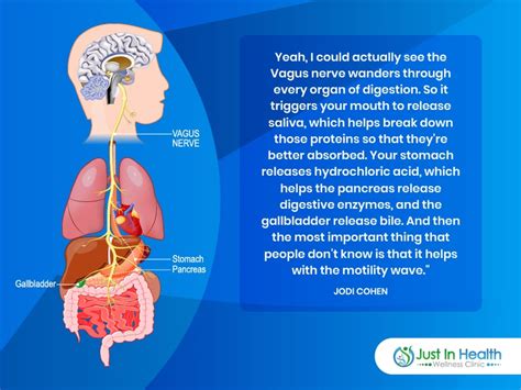 Activate The Parasympathetic Nervous System To Improve Recovery