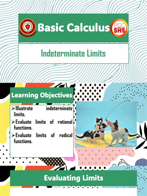 Basic Cal Indeterminate Limits Pdf Function Mathematics