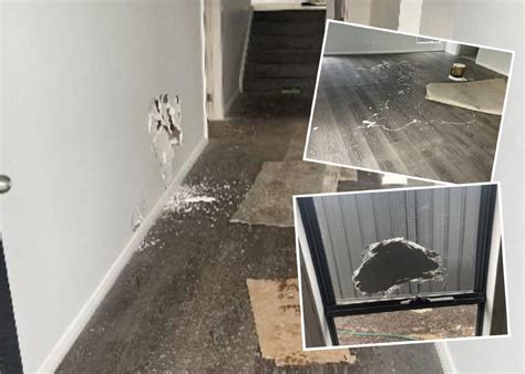 Vandals Damage New Homes In Lake Macquarie Police Investigate