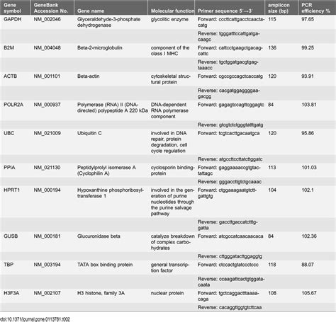 Candidate Reference Genes Selected For Evaluation Of Expression