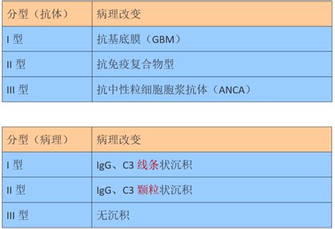 执业医师知识点总结肾小球疾病 知乎