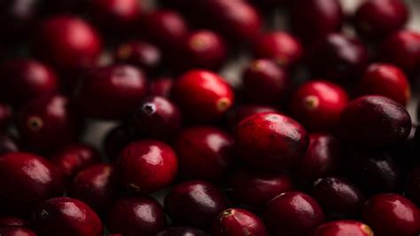 How Cranberry Products Prevent Urinary Tract Infections