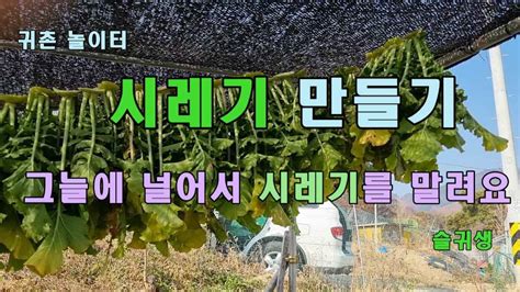 시레기 말리기 Youtube
