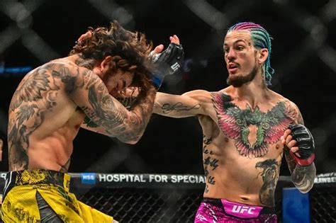 The Ultimate Guide To Ufc Weight Classes A Complete Breakdown