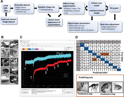 AIDeveloper User Interface And Workflow A A Representative Workflow Download Scientific