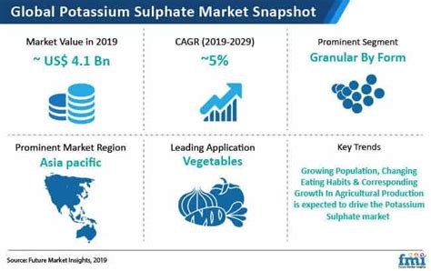 Potassium Sulphate Market Analysis And Review 2019 2029 Future