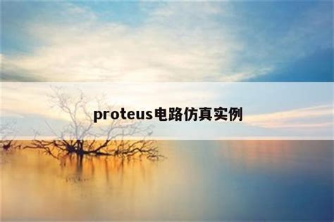 Proteus电路仿真实例 Proteus相关 Proteus8软件proteus软件