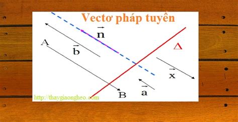 Xác định Vectơ Pháp Tuyến Của đường Thẳng Trong Oxy