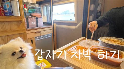 떡볶이먹다가갑자기스텔스차박강아지와어리둥절짧은영상 Youtube