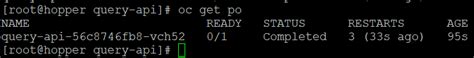 Query Ocp Api From Pod