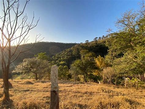 Fazenda Sítio 5000 m² em São Bento do Sapucaí por R 310 000 Viva Real