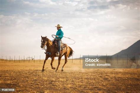 카우보이 승마와 유타 목장에 이른 아침에 Roping 카우보이에 대한 스톡 사진 및 기타 이미지 카우보이 올가미 밧줄