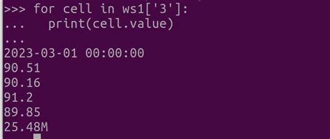 Python Openpyxl