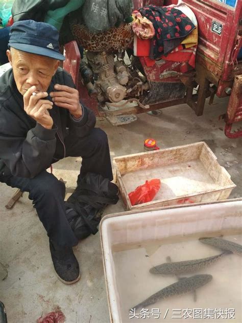 實拍：八月十五趕農村大集10張圖，大爺大媽做的小生意不一般 每日頭條