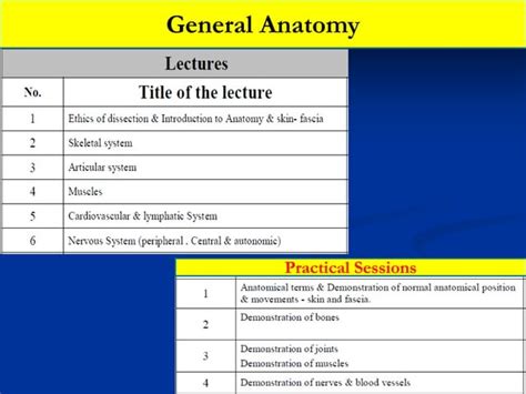 1 Cpp Introduction To Anatomy 2020 Dr Gamal Ppt