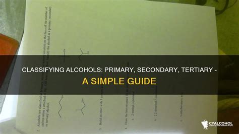 Classifying Alcohols Primary Secondary Tertiary A Simple Guide Cyalcohol
