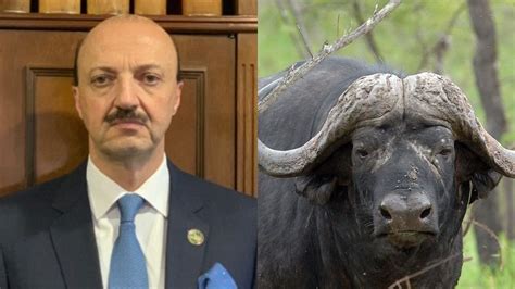 Quién era Mario Alberto Canales Najjar el cazador mexicano que murió