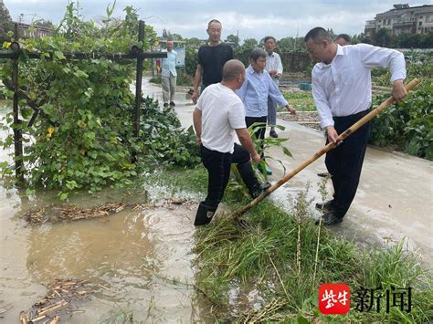 张家港市后塍街道按下三线入地快进键美丽乡村展新颜 新塍 工作 整治