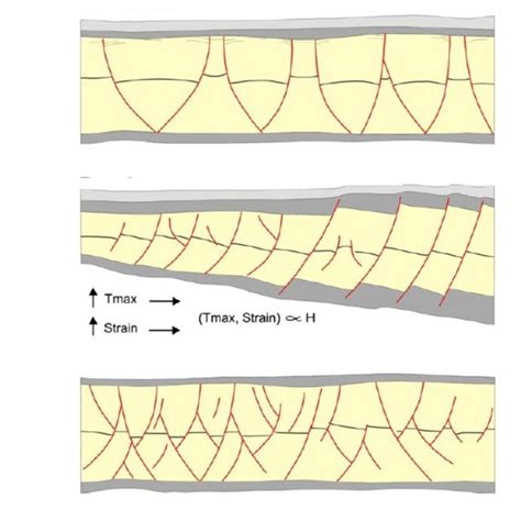 Cross Sections Through Typical Polygonal Fault Systems A Ideal Tier