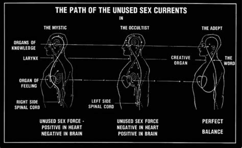 Higher Science Of Male Sexual Energy Current Flow R CommunalShowersAsia