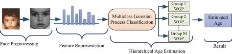 figure 1 from hierarchical facial age estimation using gaussian process