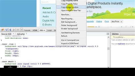 How To Find Out Any Site Images Using Firebug Addon For Mozilla Youtube