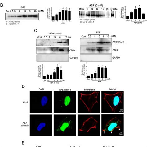 Hyperacetylation Decreased The Viability Of Triple Negative Breast