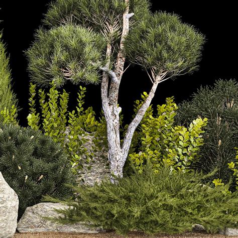 Alpine Hill With Thuja Pine Juniper And Bushes 3d Model For Vray