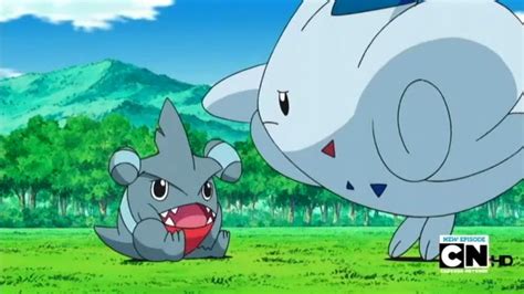 Image Togekiss Tells Gible To Not Hit Piplup Png Animated Wiki