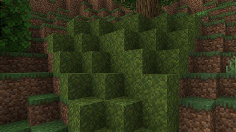 How To Get Moss Block In Minecraft ScalaCube