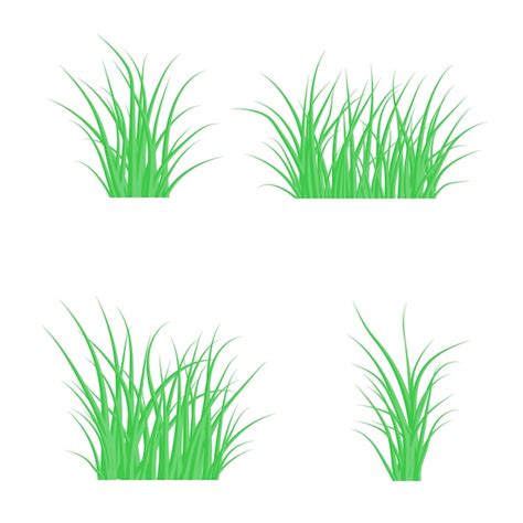 Premium Vector Green Grass Isolated On White Background