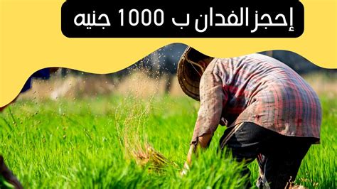 10 مزايا لمشروع الاستثمار الزراعي بصفة عامة حجز الفدان 1000 جنيه