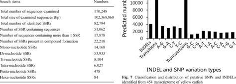 Summary Of SSR Identified From The Transcriptome Download Table