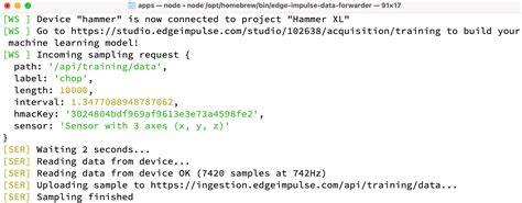 Building Edge Ml Applications Blues Developers