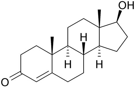 File Testosterone PNG Wikimedia Commons