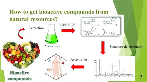 Bioactive Compound By Chompoonuch Tancharoen Youtube