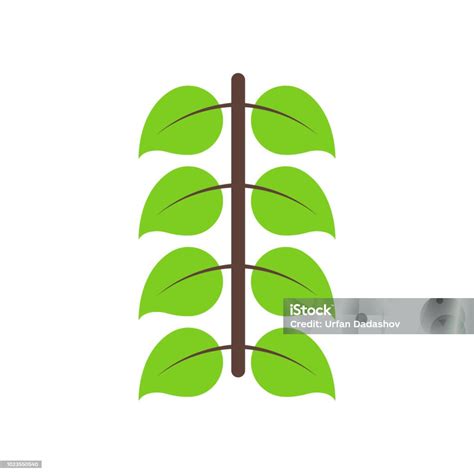 葉子圖示向量符號和符號在白色背景下被隔離 葉標識概念向量圖形及更多商標圖片 商標 圖示 外型 Istock
