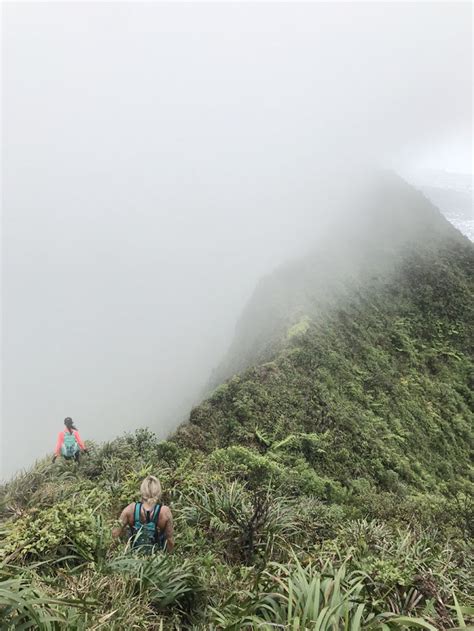Hiking Pali Lookout To Manoa Middle — Kenjisaito