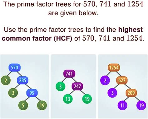 The Prime Factor Trees For 570 741 And 1254 Are Given Below Use The Prime Factor Trees To Find