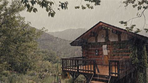 비밀의 숲속에서 내리는 빗소리 힐링 자연의 소리 Youtube