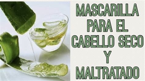 Comerciante Tremendo Acostumbrar Sabila Para Cabello Maltratado A Fondo