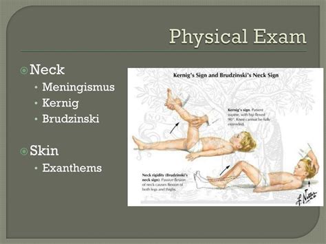 Ppt Morning Report Powerpoint Presentation Free Download Id 2360864