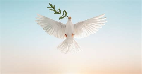 What Does It Mean ‘the Spirit Of The Lord Is Upon Me Luke 4 18